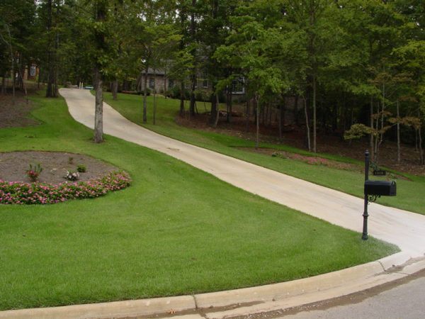 EMPIRE ZOYSIA - Nimmer Turf Farm