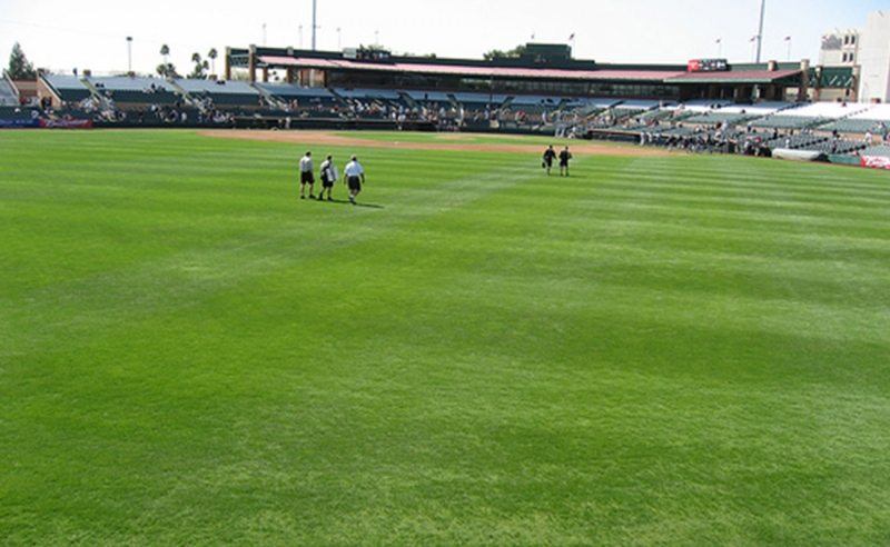 Tifway 419 Bermuda - Nimmer Turf Farm