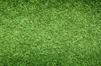 What are the Benefits of Using Empire Turf® in South Carolina? - Nimmer ...