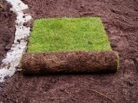 Sod Installation in Augusta, GA | Nimmer Turf Farm, Inc.