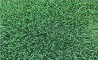 Products - Nimmer Turf Farm